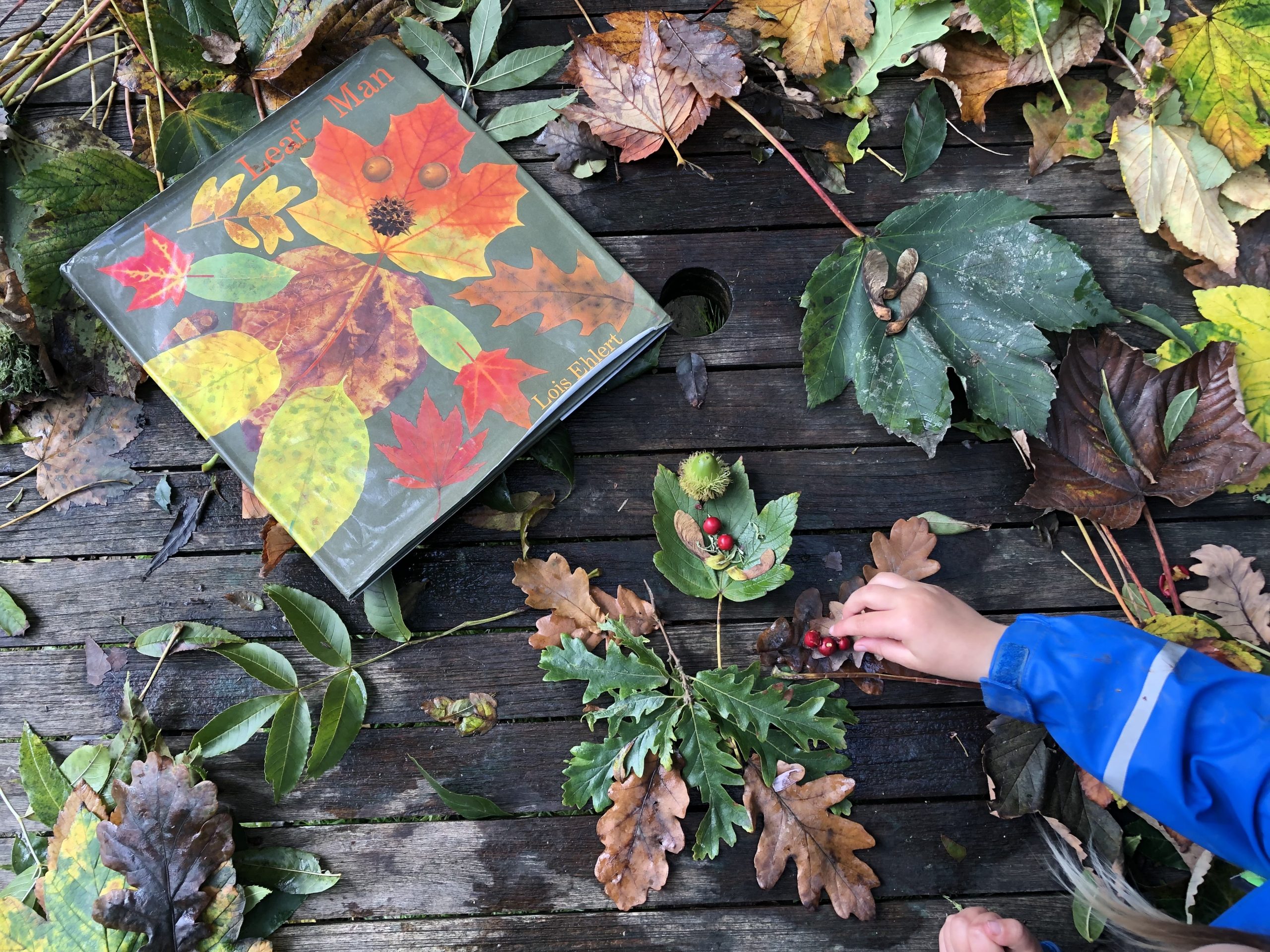 Nature Steps : Using our natural world and the world of words! - First ...