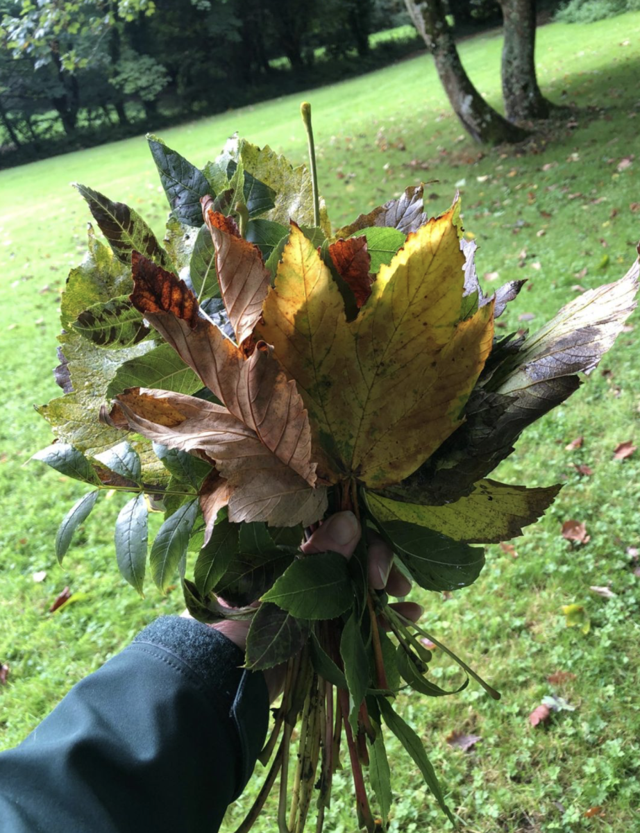 Nature Steps : Using our natural world and the world of words! - First ...