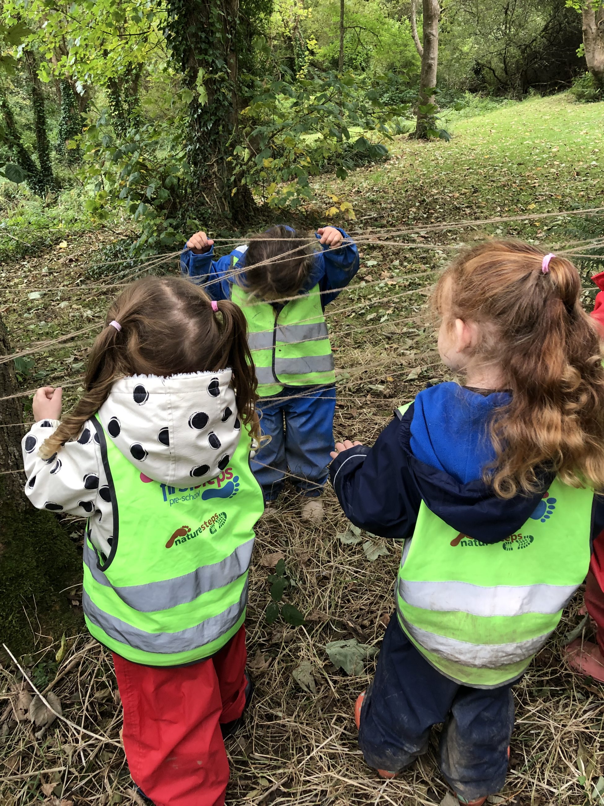 Nature Steps : Exploring the World of Spiders - First Steps Cornwall